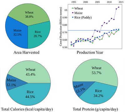 Frontiers | Abiotic Stress Signaling in Wheat – An Inclusive Overview ...