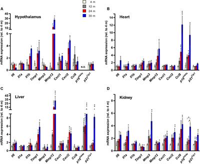 Frontiers | Age- and Tissue-Specific Expression of Senescence ...