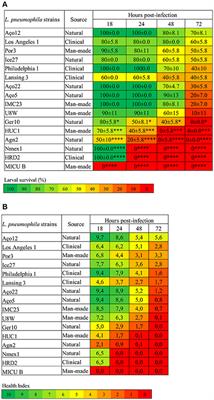 Frontiers | Differences in Virulence Between Legionella pneumophila ...