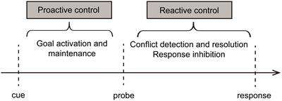 Frontiers | The Effect of Mindfulness Training on Proactive and ...