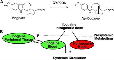 Frontiers | Ibogaine Detoxification Transitions Opioid and Cocaine ...