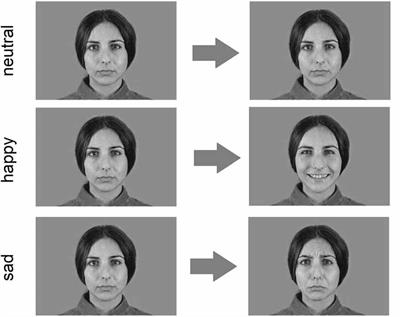 Frontiers | Sex Differences in Affective Facial Reactions Are Present ...