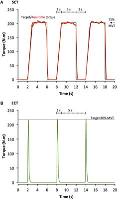 Frontiers | Tendinous Tissue Adaptation to Explosive- vs. Sustained ...
