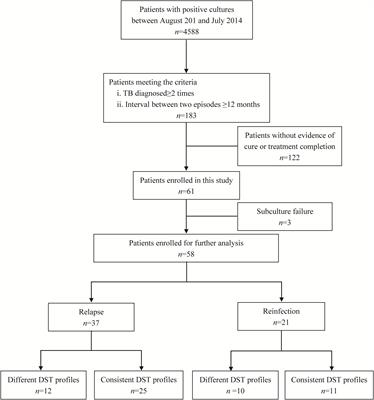 Frontiers | Relapse Versus Reinfection of Recurrent Tuberculosis ...