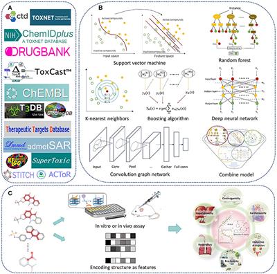 Frontiers | In Silico Prediction of Chemical Toxicity for Drug Design ...