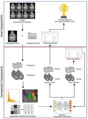 Frontiers | Machine Learning Applications in Head and Neck Radiation ...