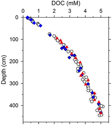 Frontiers | Composition of Dissolved Organic Matter in Pore Waters of ...