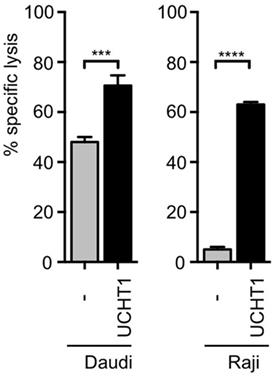 Frontiers | Anti-CD3 Fab Fragments Enhance Tumor Killing by Human γδ T ...