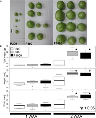 Frontiers | A Systems Analysis With “Simplified Source-Sink Model ...