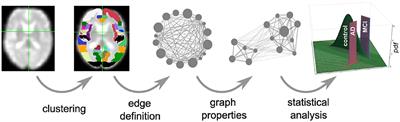 Frontiers | On the Extraction and Analysis of Graphs From Resting-State ...