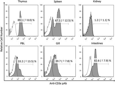 Frontiers | Peculiar Expression of CD3-Epsilon in Kidney of Ginbuna ...