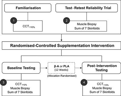 Frontiers | A Statistical Framework to Interpret Individual Response to ...