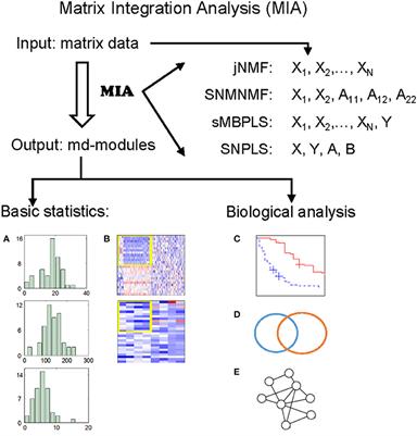 Frontiers | Matrix Integrative Analysis (MIA) of Multiple Genomic Data ...