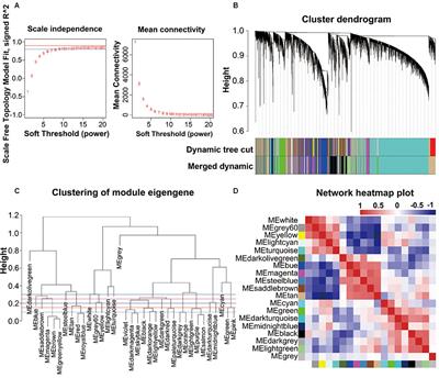 Frontiers | Gene Expression Analysis Reveals Novel Gene Signatures ...