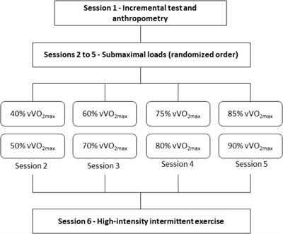 Frontiers | Is Oxygen Uptake Measurement Enough to Estimate Energy ...