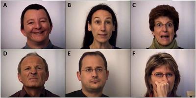 Frontiers | Temporal Dynamics of Natural Static Emotional Facial ...