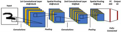 Frontiers | Training Deep Spiking Convolutional Neural Networks With ...