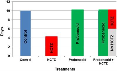Frontiers | Probenecid Pre-treatment Downregulates the Kidney Cl-/HCO3 ...