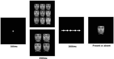 Frontiers | Memory of Ensemble Representation Was Independent of Attention