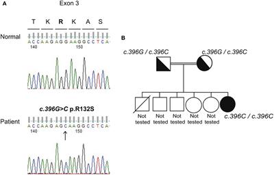Frontiers | A Novel Homozygous Mutation of the AIRE Gene in an APECED ...
