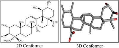 Frontiers | Pharmacological Properties, Molecular Mechanisms, and ...
