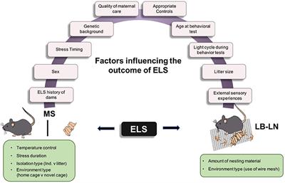 Frontiers | Early Life Stress in Rodents: Animal Models of Illness or ...