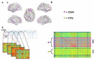 Frontiers | Dynamic Functional Connectivity and Symptoms of Parkinson’s ...