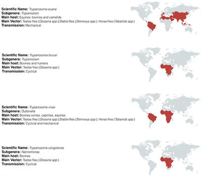 Trypanosoma Brucei Map