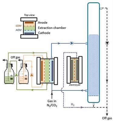 Frontiers | Membrane Electrolysis Assisted Gas Fermentation for ...