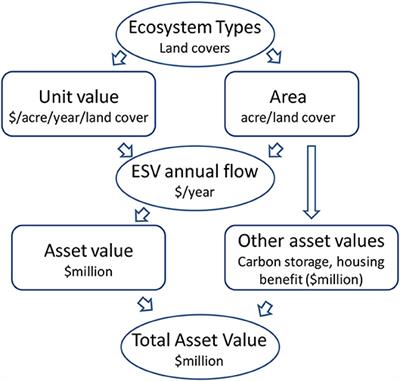 Frontiers | Evaluating Boston Harbor Cleanup: An Ecosystem Valuation ...