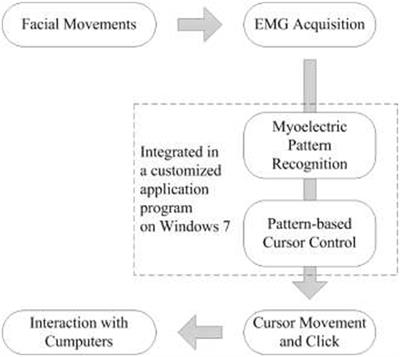 Frontiers | Hands-Free Human-Computer Interface Based on Facial ...