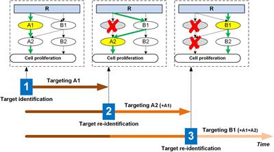 Frontiers | Dynamic Targeting in Cancer Treatment