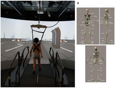 Frontiers | Gait Pattern and Motor Performance During Discrete Gait ...