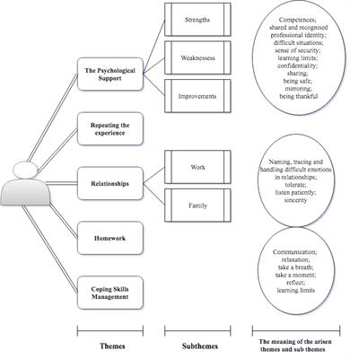 Frontiers | Psychological Support for Health Professionals: An ...