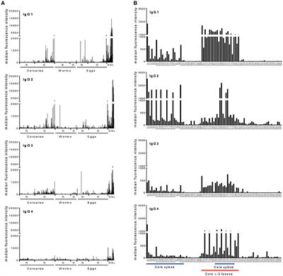 Frontiers | Glycan Microarray-Assisted Identification of IgG Subclass ...