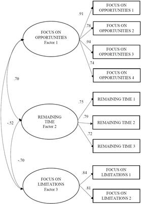 Frontiers | Occupational Future Time Perspective: Psychometric ...