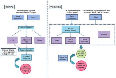 Frontiers | Deep Learning-Based Multi-Omics Data Integration Reveals ...
