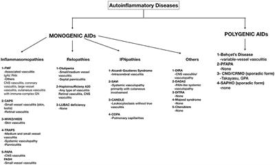 Frontiers | Vasculitis in Systemic Autoinflammatory Diseases