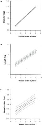 Frontiers | Arterial Network Geometric Characteristics and Regulation ...