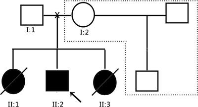 Frontiers | Functional Characterization of Argininosuccinate Lyase Gene ...