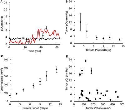 Frontiers | Hyperoxygenation as a Therapeutic Supplement for Treatment ...