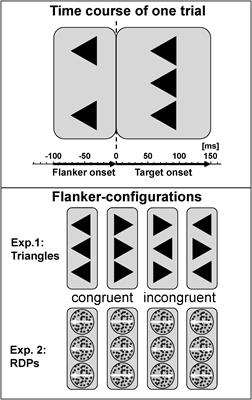 Frontiers | Cognitive Control Over Visual Motion Processing – Are ...