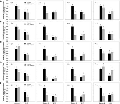 Frontiers | Impacts of Sub-lethal DDT Exposures on microRNA and ...