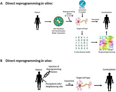 Frontiers | Potentials of Cellular Reprogramming as a Novel Strategy ...