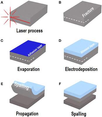 Frontiers | Kerf-Less Exfoliated Thin Silicon Wafer Prepared by Nickel ...