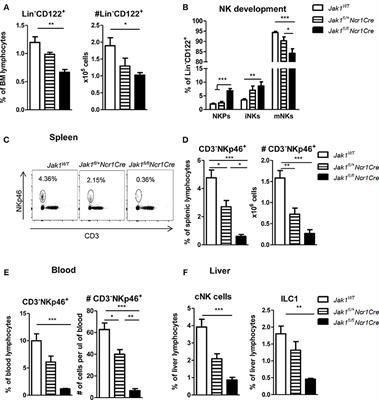 Frontiers | Loss of JAK1 Drives Innate Immune Deficiency