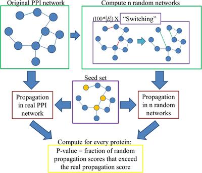 Frontiers | Comparative Analysis of Normalization Methods for Network ...
