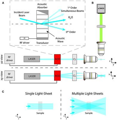 Frontiers | Flexible Multi-Beam Light-Sheet Fluorescence Microscope for ...