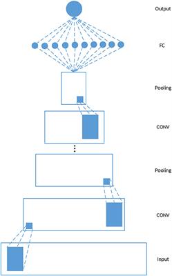 Frontiers | deepDriver: Predicting Cancer Driver Genes Based on Somatic ...