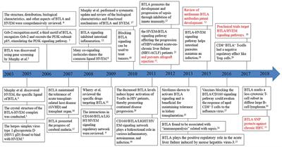Frontiers | BTLA/HVEM Signaling: Milestones in Research and Role in ...